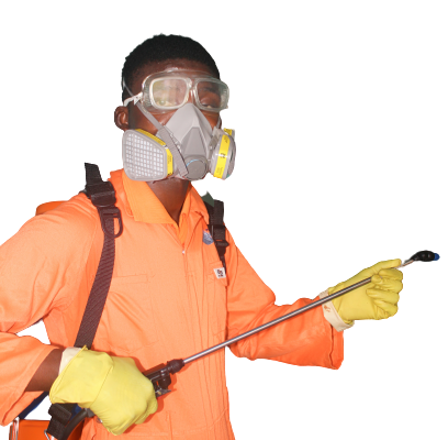 Best Fumigation, Pests Control and Virus Disinfection Services ...